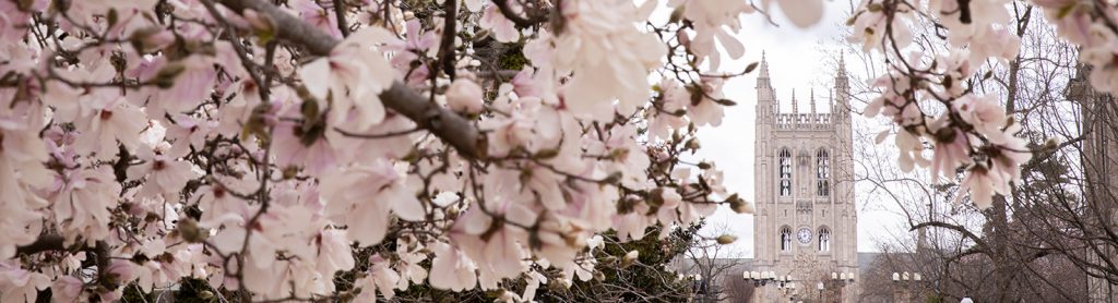 Safe Spring Break // Student Affairs // University of Missouri